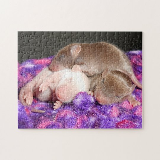 Mouse Puzzle: 3 Baby Mice Jigsaw Puzzle | Zazzle.com