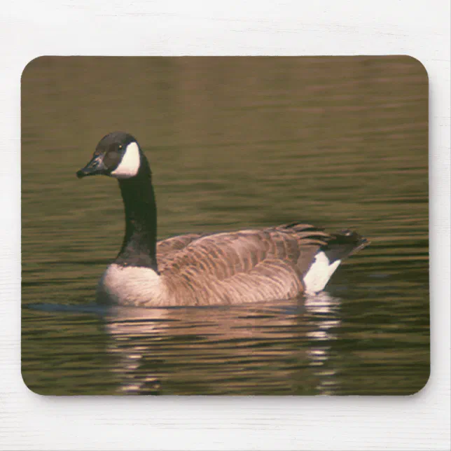 Mousepad - Goose | Zazzle