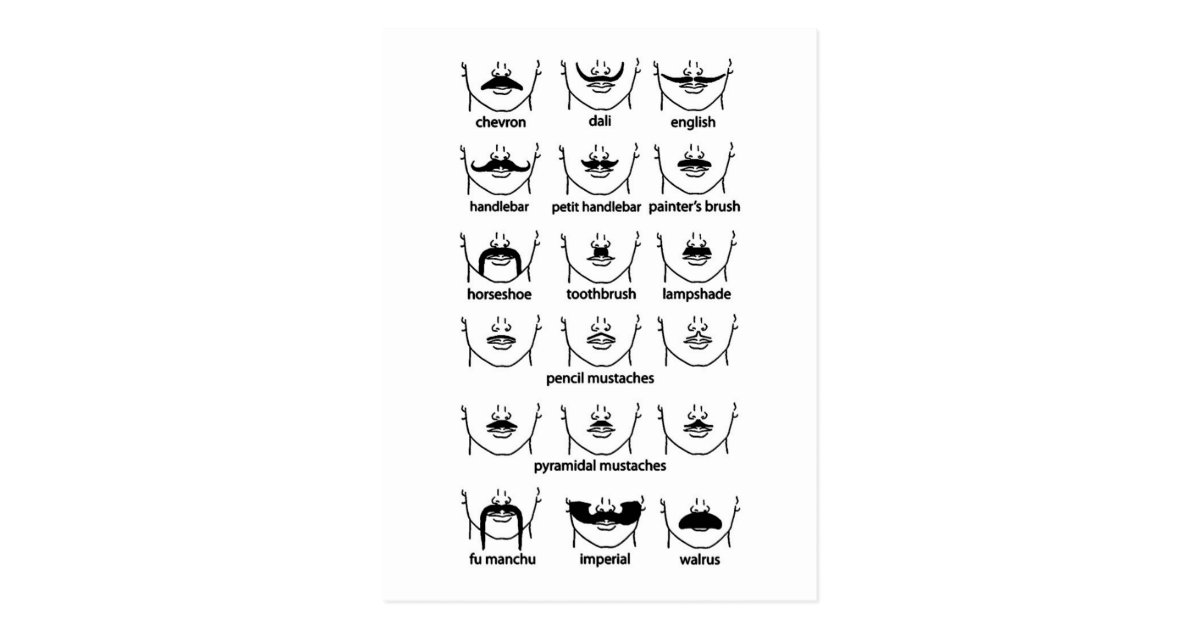 Moustache Chart Postcard | Zazzle.com
