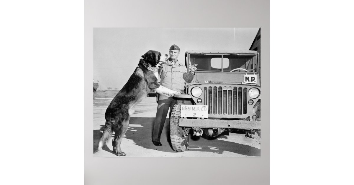 MP Mascot: 1942 Poster | Zazzle