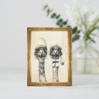 Mr. and Mrs. Ostrich framed Postcard | Zazzle