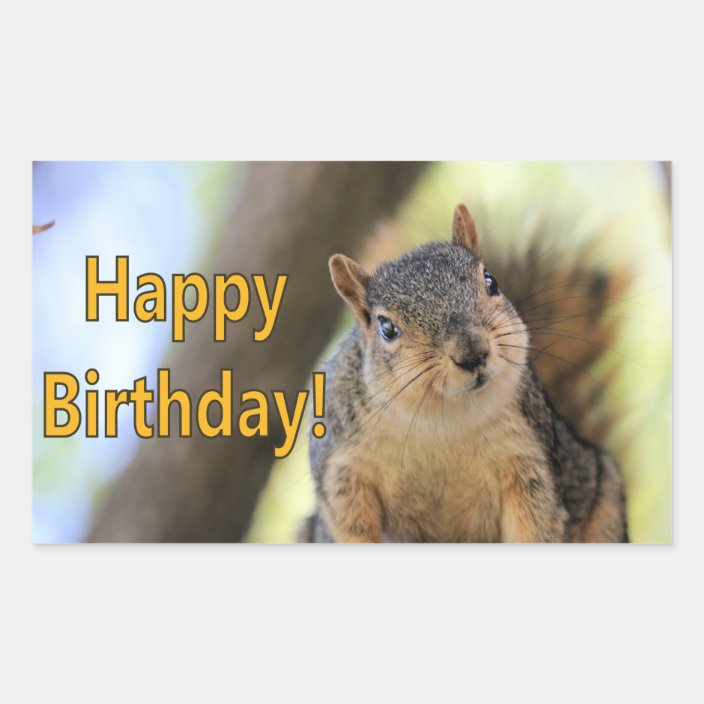 Mr.Squirrel wishing a Happy Birthday Rectangular Sticker | Zazzle.com