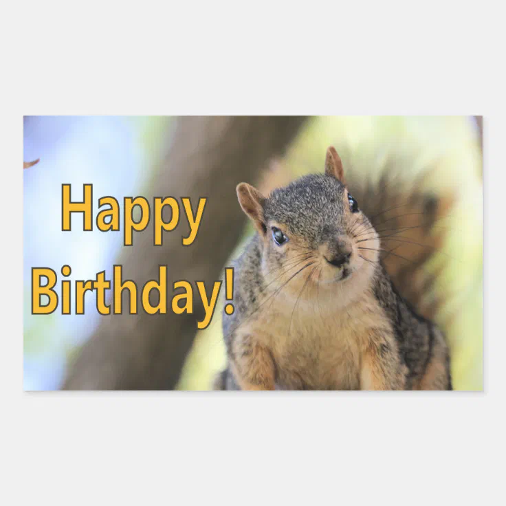 Mr.Squirrel wishing a Happy Birthday Rectangular Sticker | Zazzle