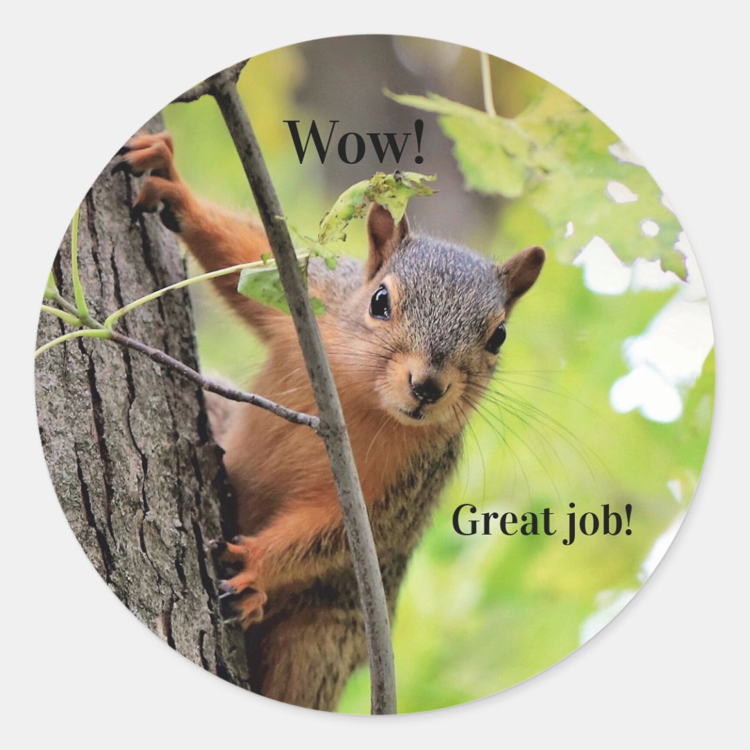 Mr. Squirrel's Great Job Student Stickers | Zazzle