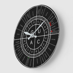 mRNA to AMINO ACID CODON WHEEL Large Clock | Zazzle