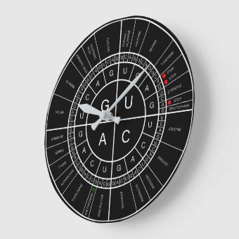 mRNA to AMINO ACID CODON WHEEL Large Clock | Zazzle
