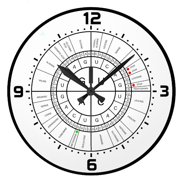 mRNA to AMINO ACID CODON WHEEL Large Clock | Zazzle.com