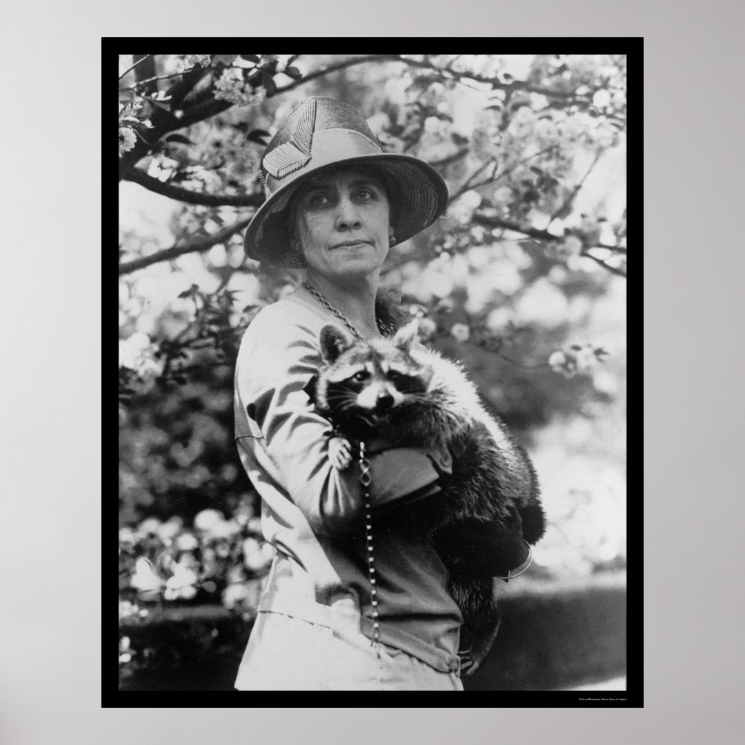 Mrs. Calvin Coolidge with her Raccoon 1923 Poster | Zazzle