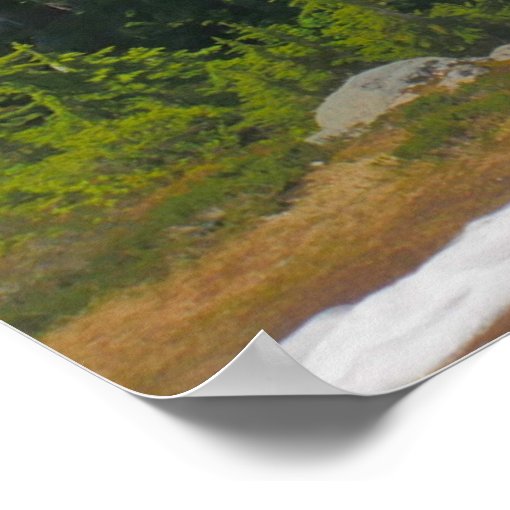 Mt. Baker, Forest, and Alpine Lake Photo Poster | Zazzle