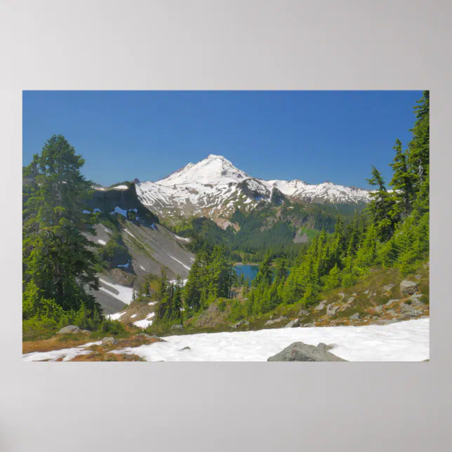 Mt. Baker, Forest, and Alpine Lake Photo Poster | Zazzle