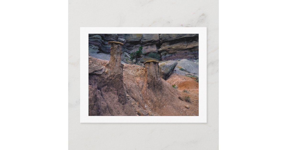 "Mud Caps" Postcard | Zazzle
