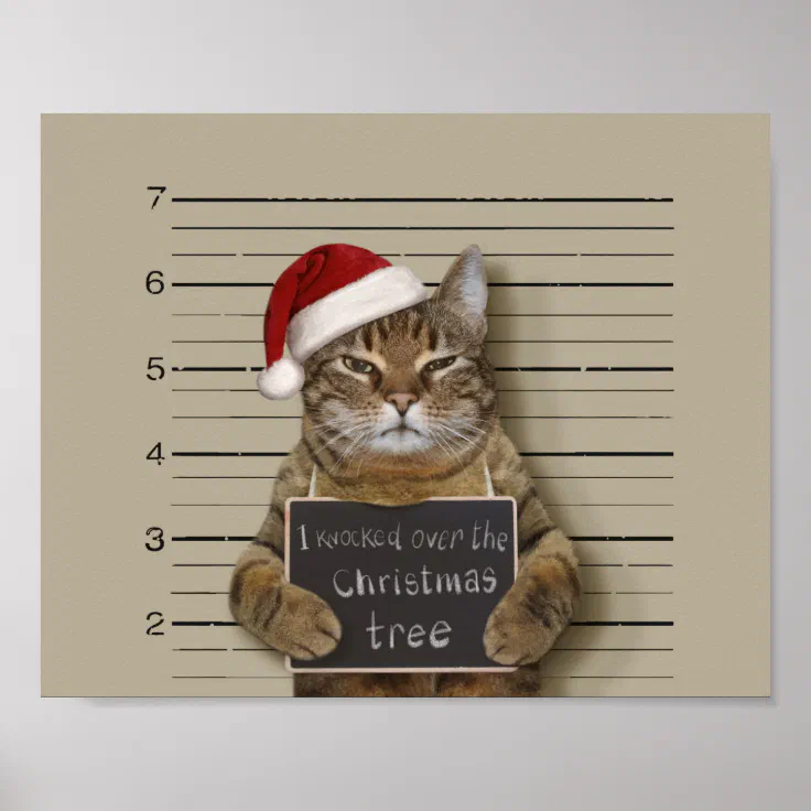 Mugshot Cat Christmas Poster | Zazzle