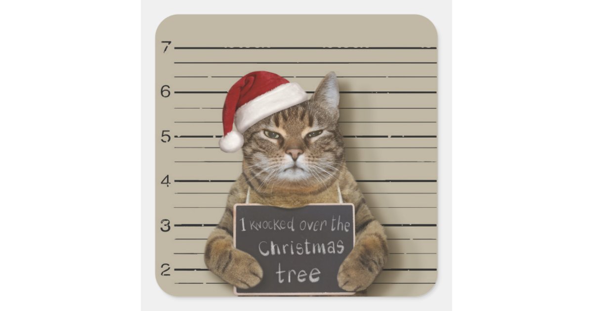 Mugshot Cat Christmas Square Sticker | Zazzle