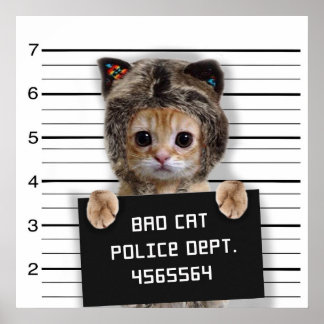 Mugshot Posters | Zazzle