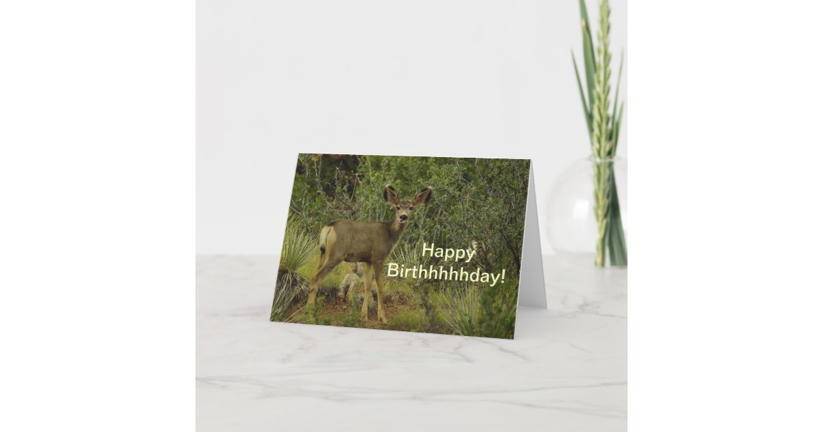 Mule Deer Raspberry Birthday Card | Zazzle