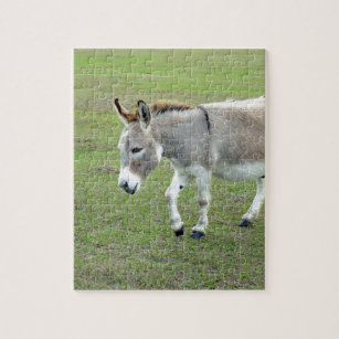 Donkey Jigsaw Puzzles | Zazzle