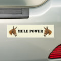 Mule Power Bumper Sticker | Zazzle
