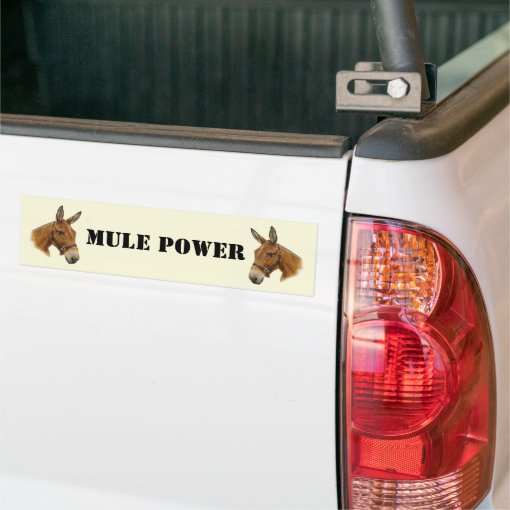 Mule Power Bumper Sticker | Zazzle