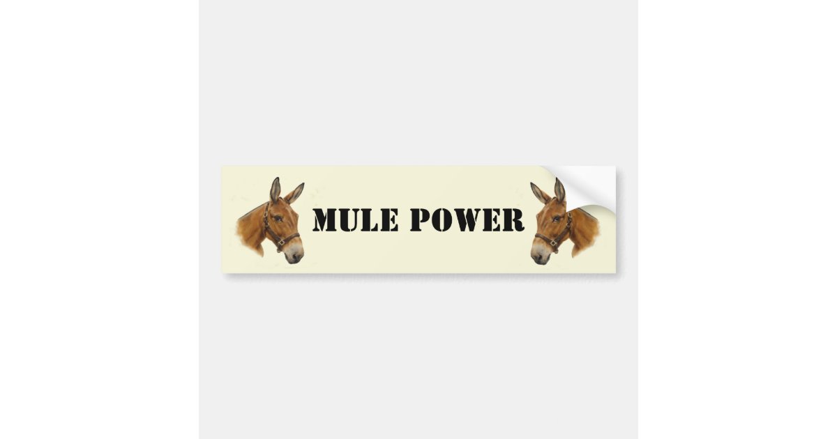 Mule Power Bumper Sticker | Zazzle