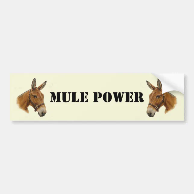 Mule Power Bumper Sticker | Zazzle
