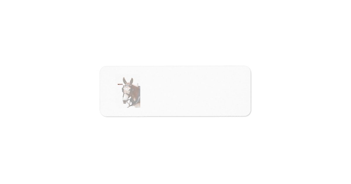 Mule Return Address Labels | Zazzle