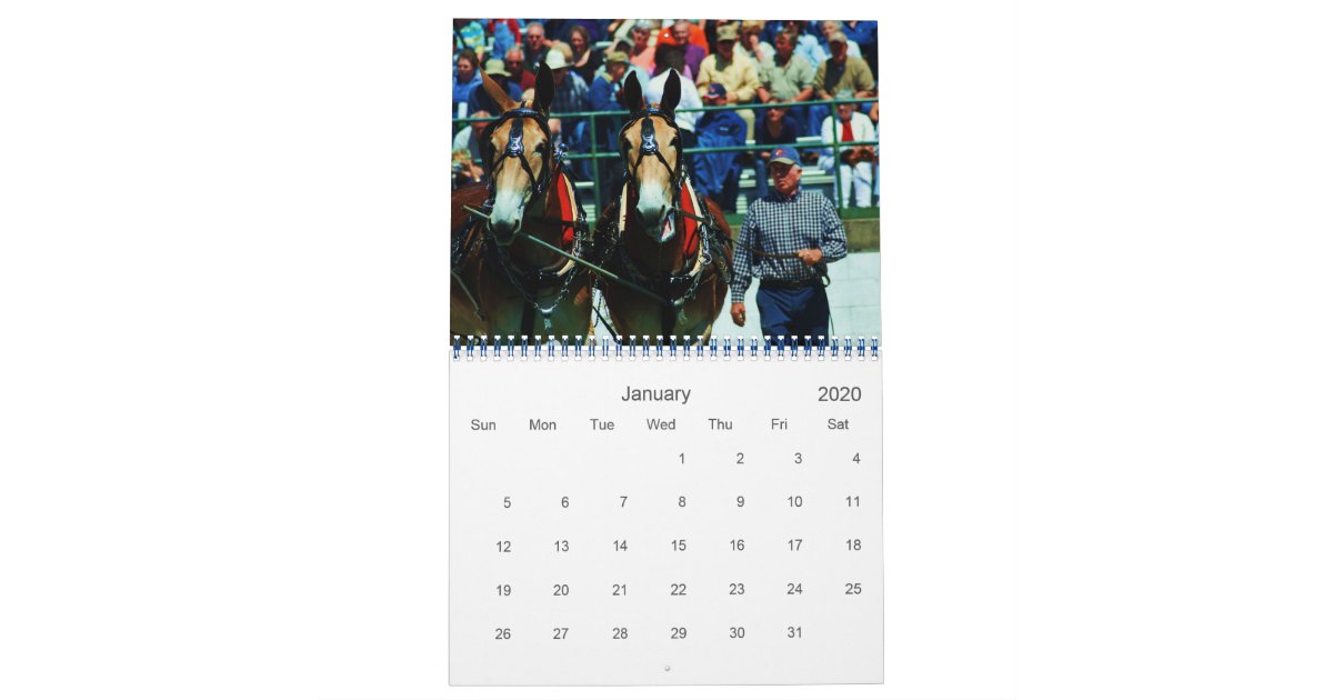 mules and donkeys calendar | Zazzle.com