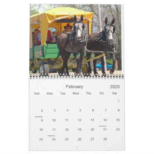 mules and donkeys calendar | Zazzle