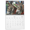 mules and donkeys calendar | Zazzle