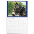 MULES MULES MULES CALENDAR | Zazzle