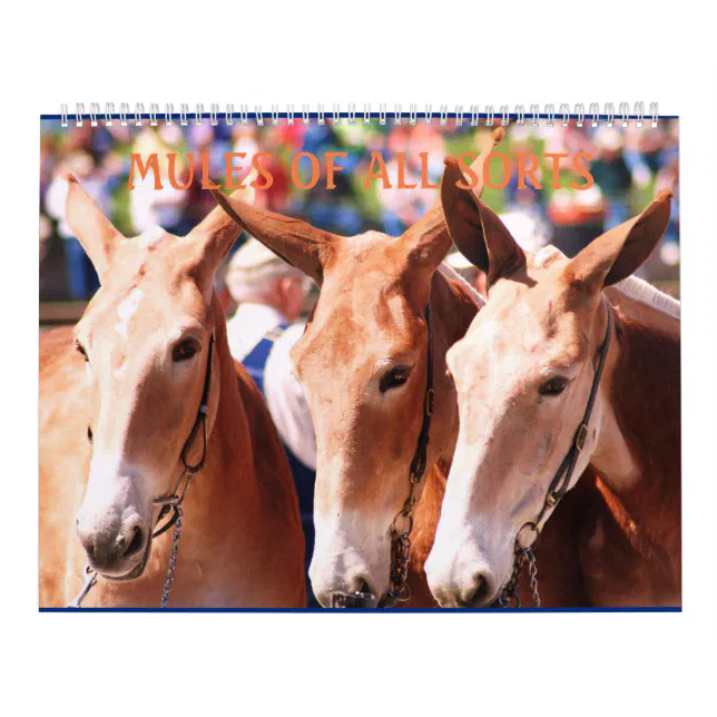 MULES MULES MULES CALENDAR | Zazzle