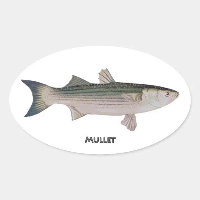 Mullet Fish Oval Sticker | Zazzle