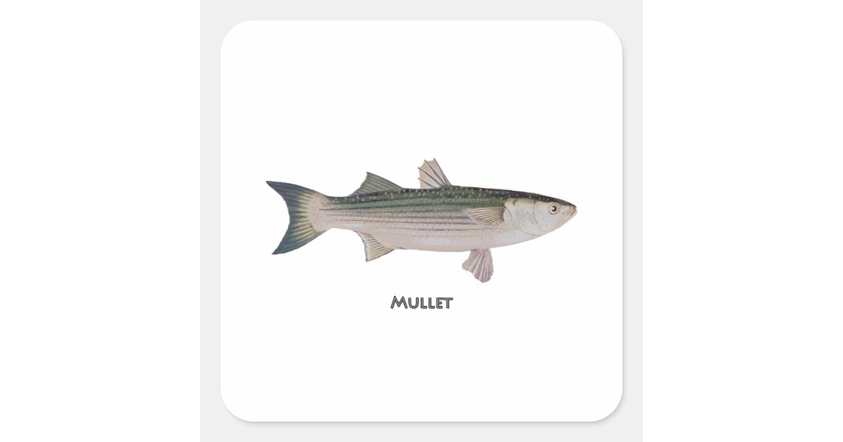 Mullet Logo Square Sticker | Zazzle