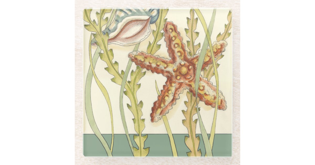 Multi-Color Shell Party Glass Coaster | Zazzle
