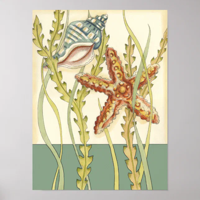 Multi-Color Shell Party Poster | Zazzle