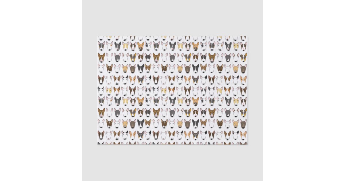 Multibull Bull Terrier Tissue Paper | Zazzle