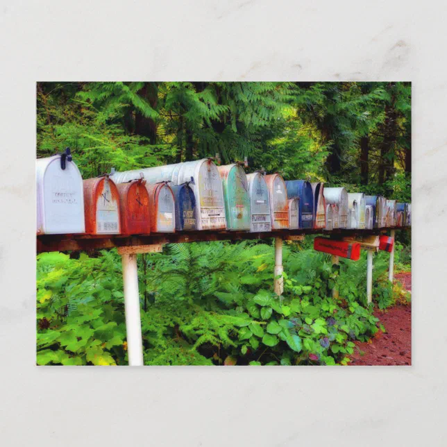 Multiple Mailboxes in a row Postcard | Zazzle