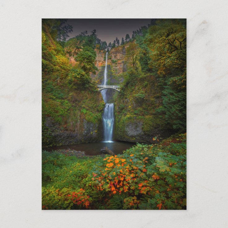 Multnomah Falls | Columbia River Gorge, Oregon Postcard | Zazzle