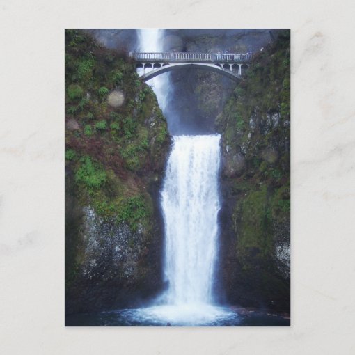 Multnomah Falls Postcard | Zazzle