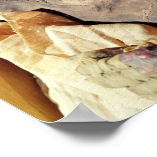 Mummified body of Ramesses II found in a tomb Poster | Zazzle