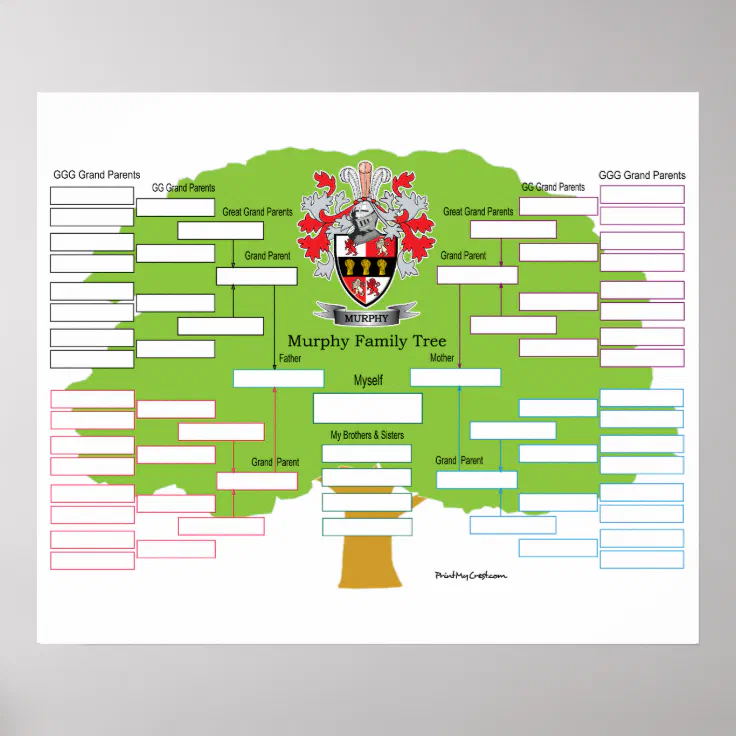 Murphy Family Tree Poster | Zazzle
