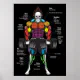 Muscle Anatomy Chart - Gym Workout Bodybuilding | Zazzle