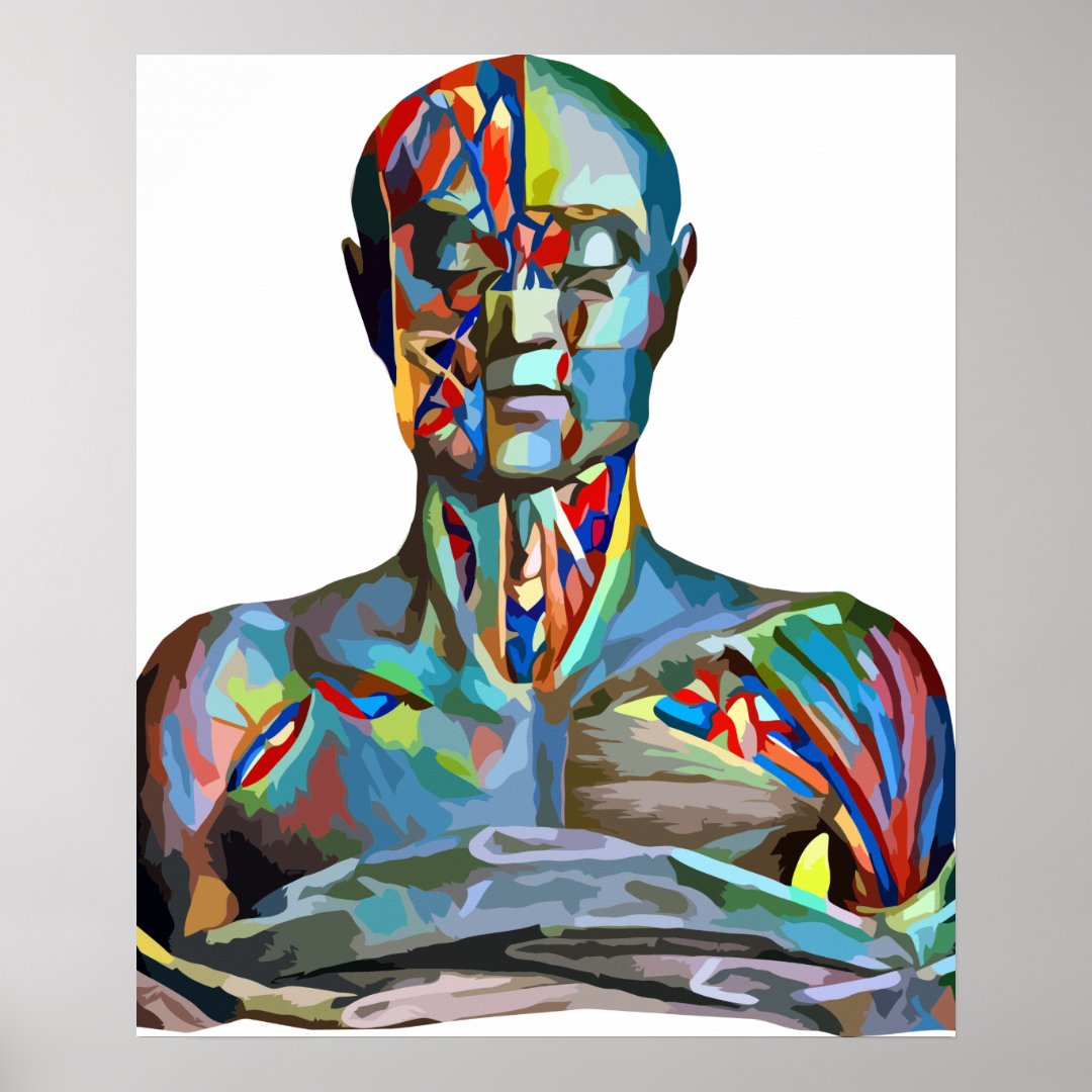 Muscle Anatomy Man Colorful Abstract Art Poster | Zazzle