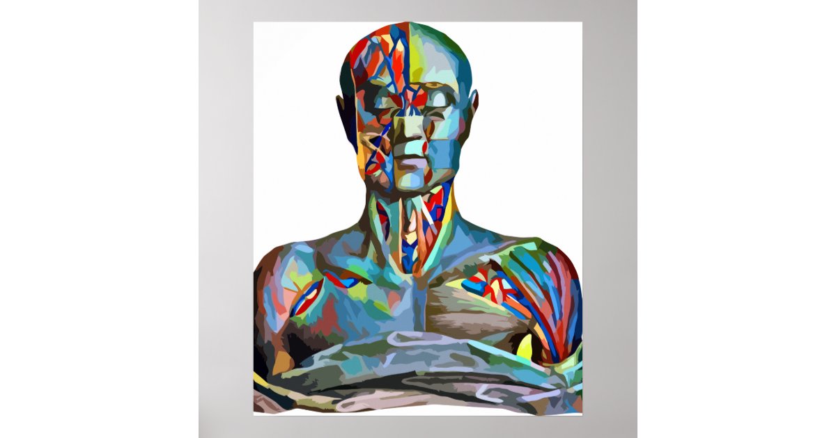 Muscle Anatomy Man Colorful Abstract Art Poster | Zazzle