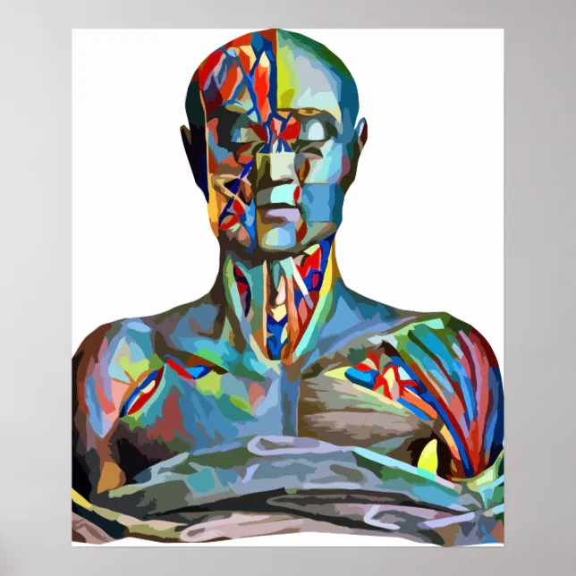 Muscle Anatomy Man Colorful Abstract Art Poster | Zazzle