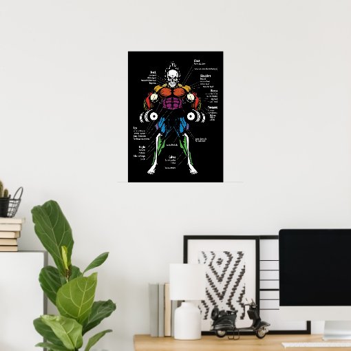 Muscle Chart, Anatomy Diagram - Gym Workout Poster | Zazzle