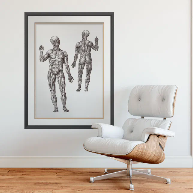 Muscle Men Sports Medicine Human Anatomy Poster | Zazzle