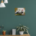 Muscovy Duck Poster | Zazzle