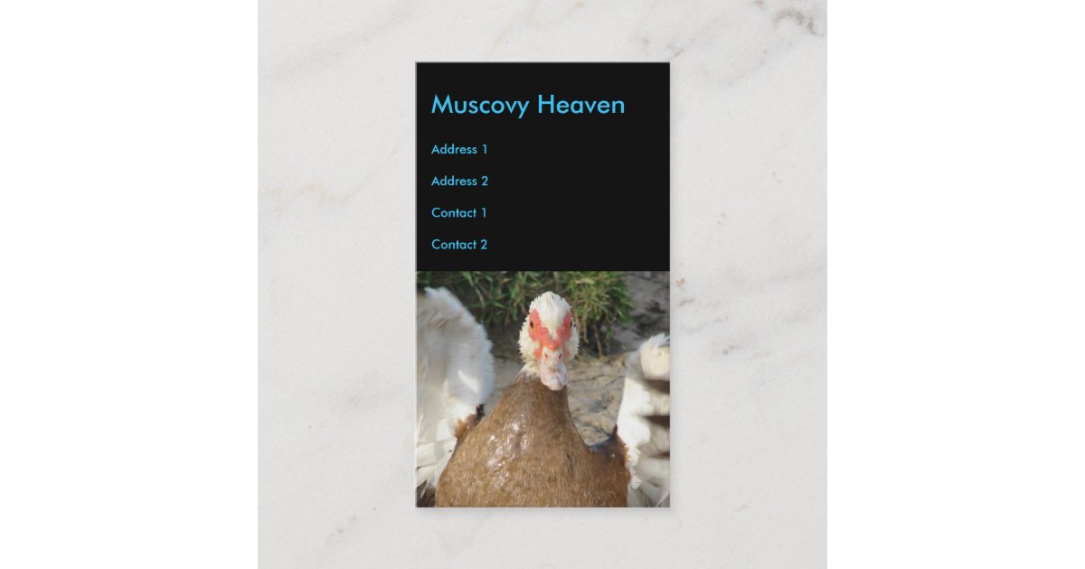 Muscovy Heaven Business Card | Zazzle