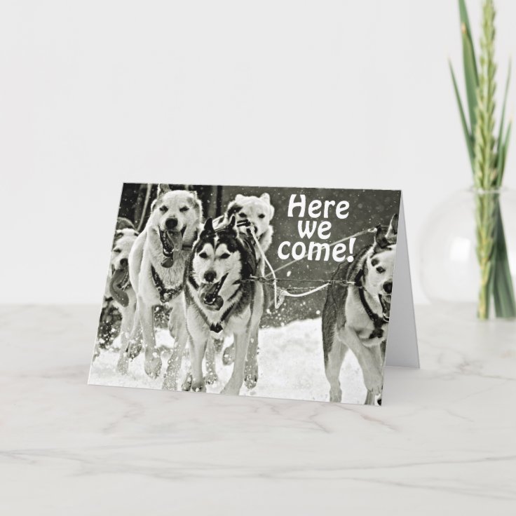 MUSHERS SAY HERE WE COME BROTHER ON YOUR BIRTHDAY CARD | Zazzle