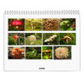 Mushroom Calendar | Zazzle